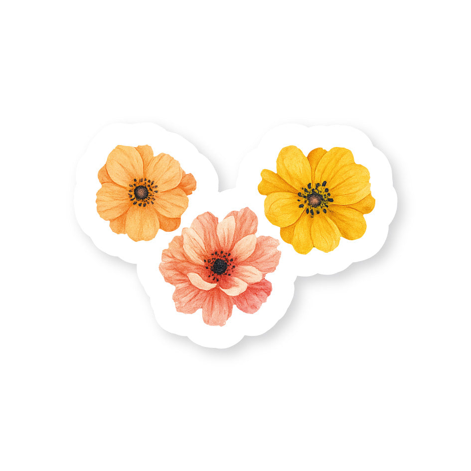 Triple Bloom – Case X